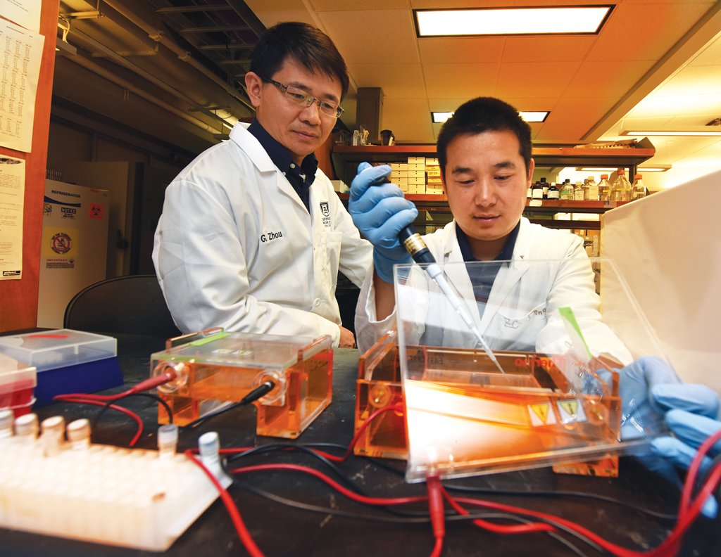 News and Views: Winter 2019 – Magazines