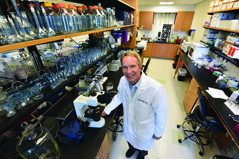 Essential Pressure – Magazines