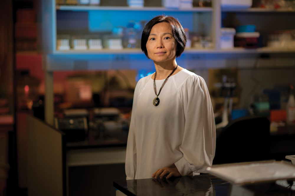 Too Much Stimulation – Magazines