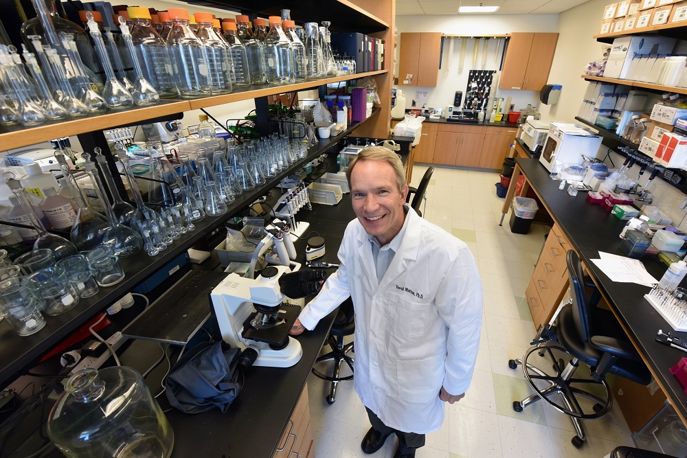 New Graduate Program in Physiology – Magazines