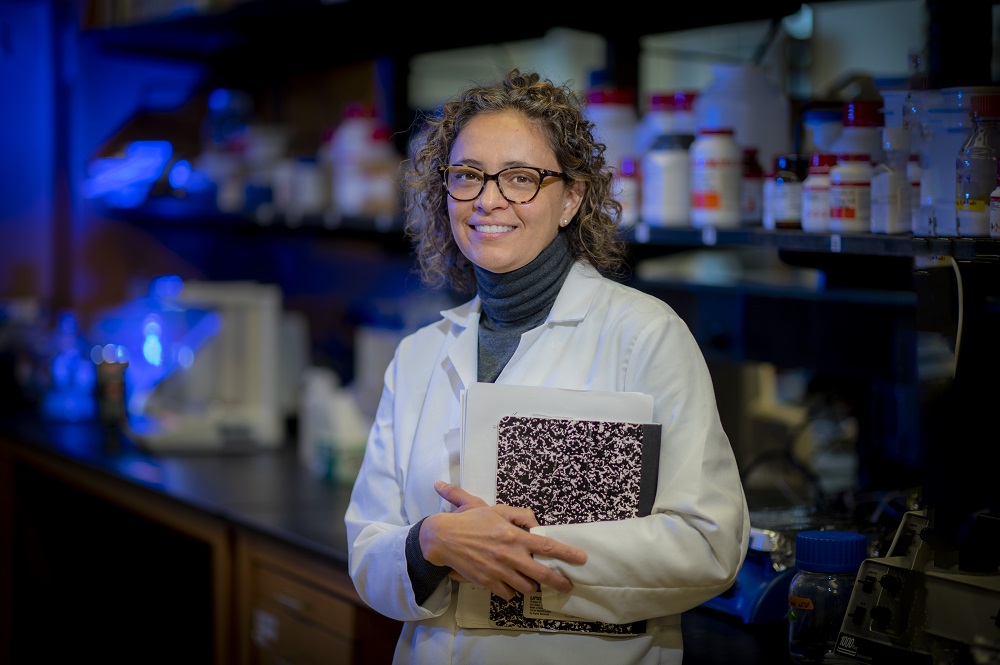 Hold the Salt – Magazines